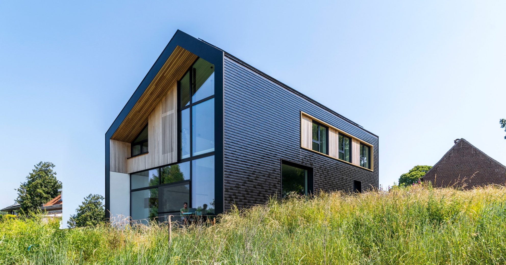 Zwarte schil in kleidakpannen in Asse