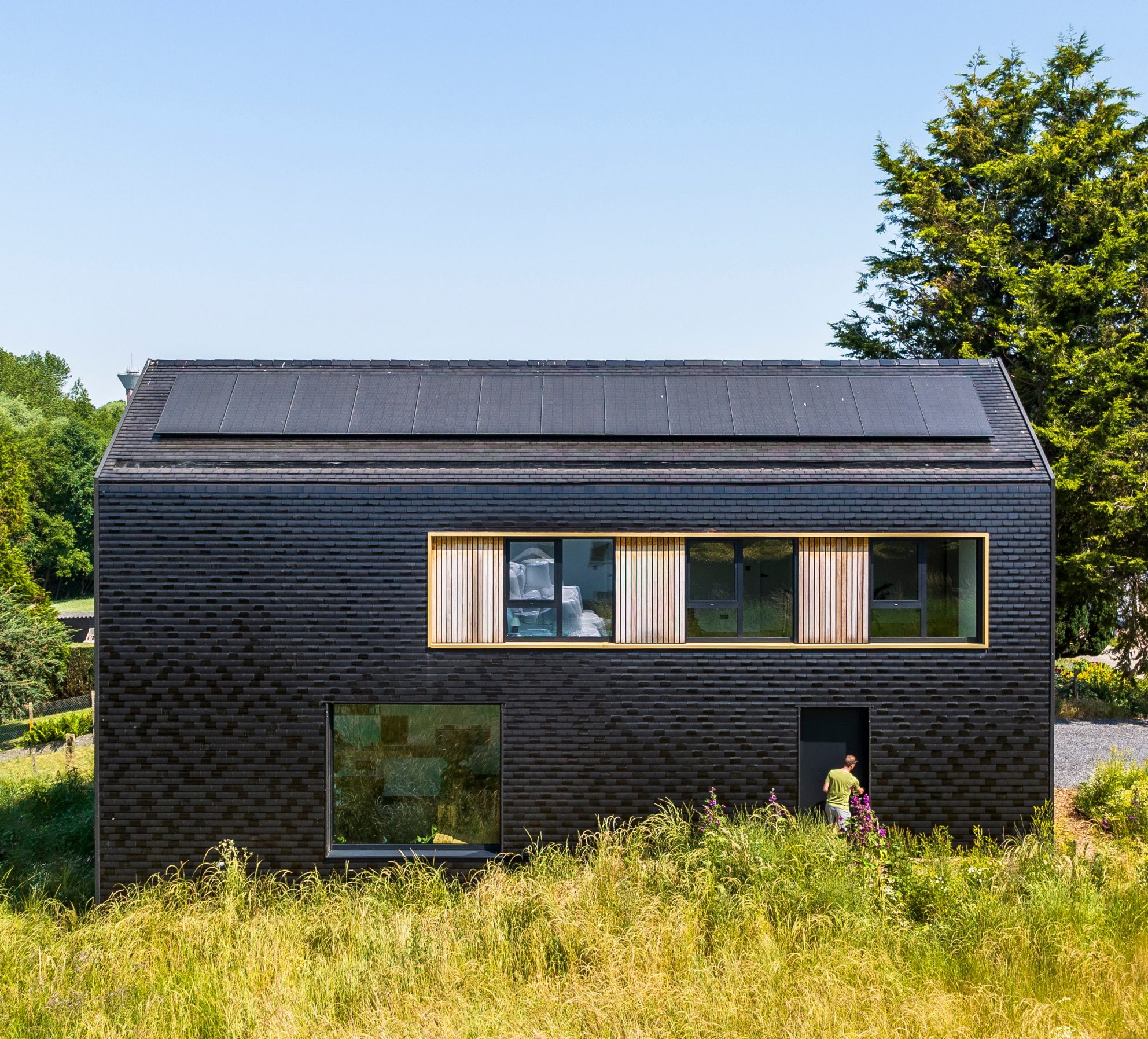 Zwarte schil in kleidakpannen in Asse