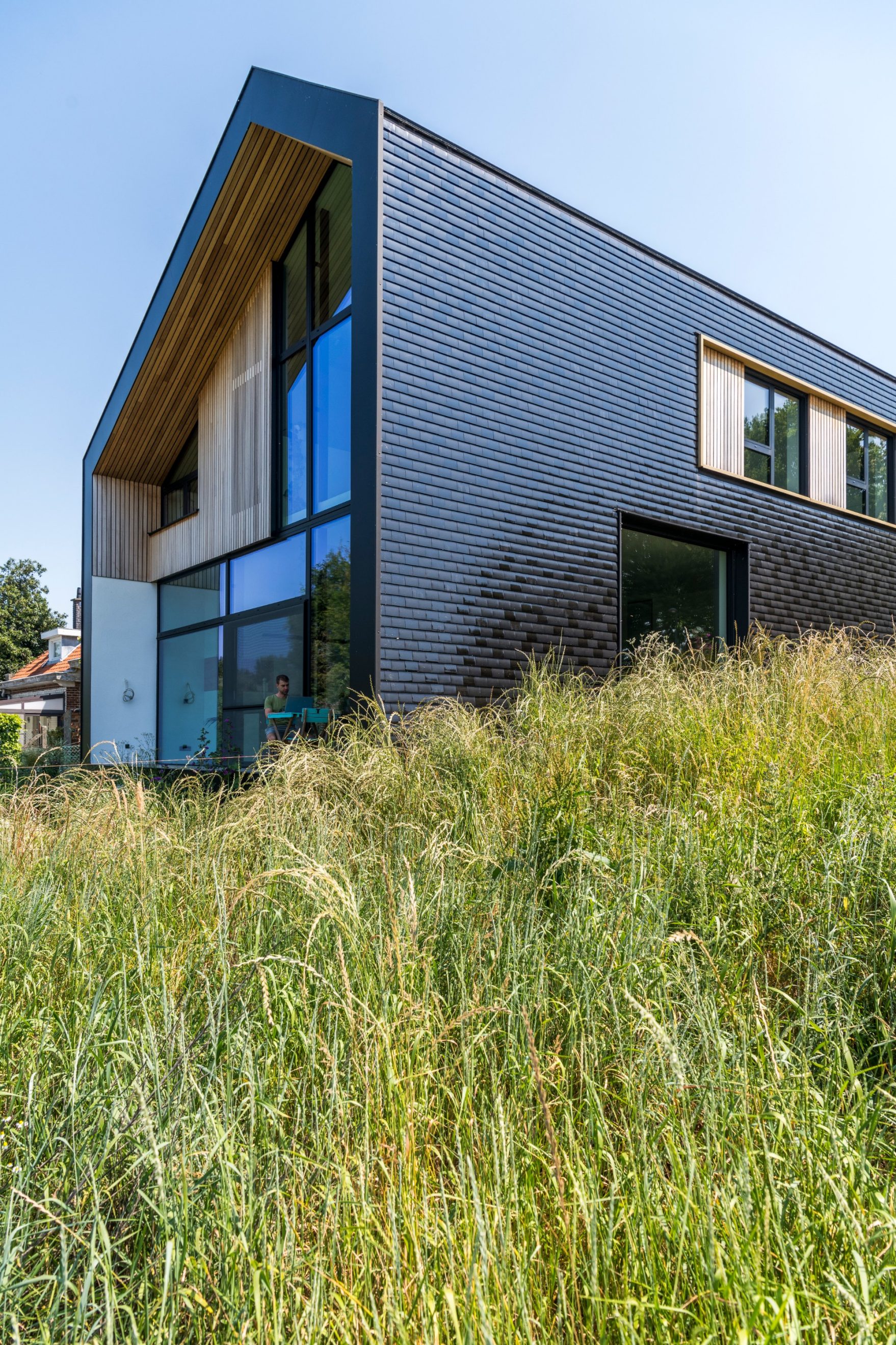 Zwarte schil in kleidakpannen in Asse