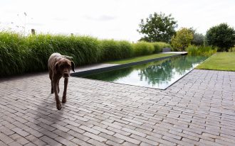 Stapstenen naar meer waterpret