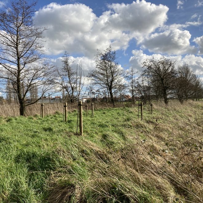 Biodiversiteitsactieplan site Aalbeke