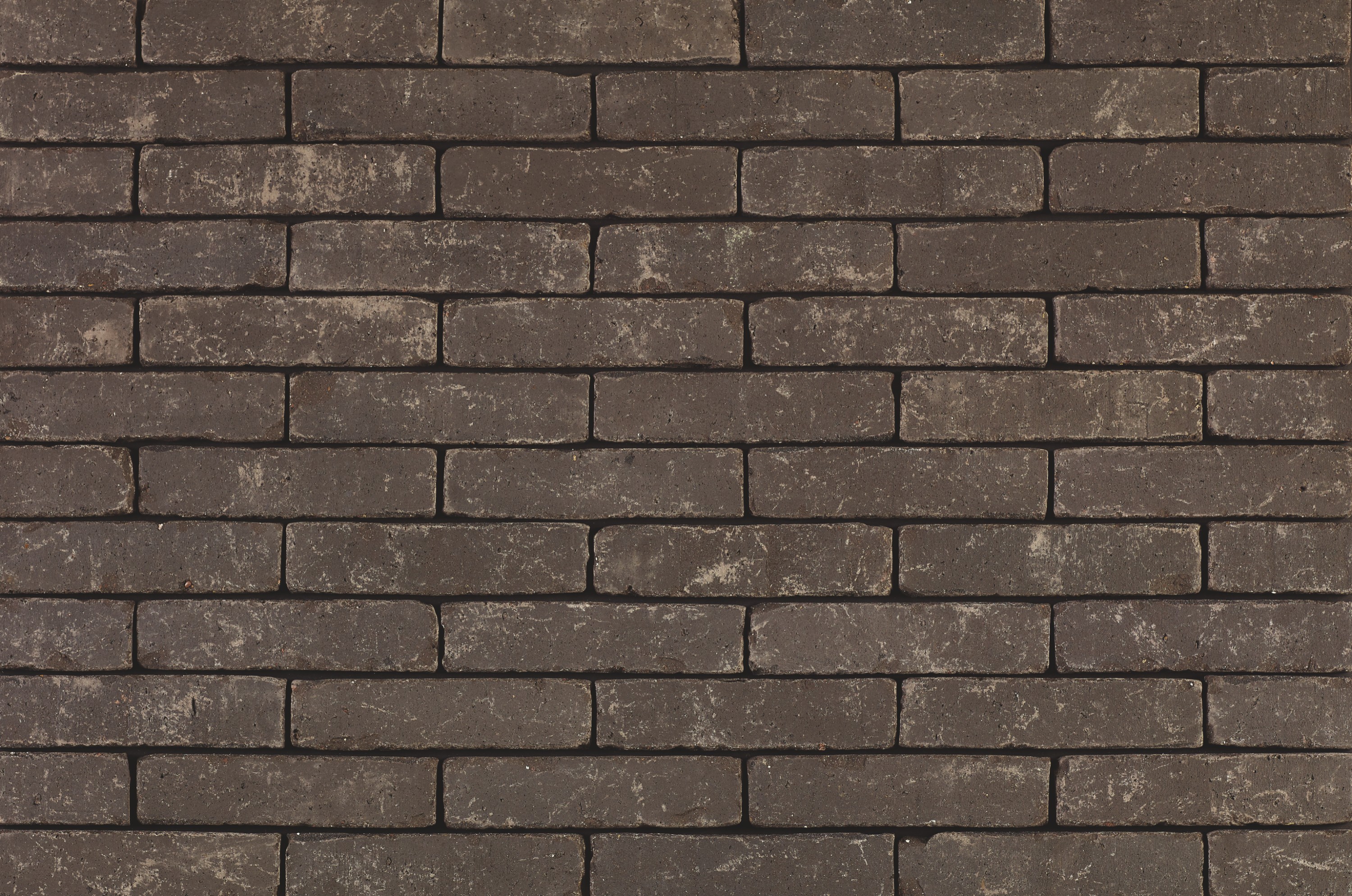 Authentica Retro Dakota