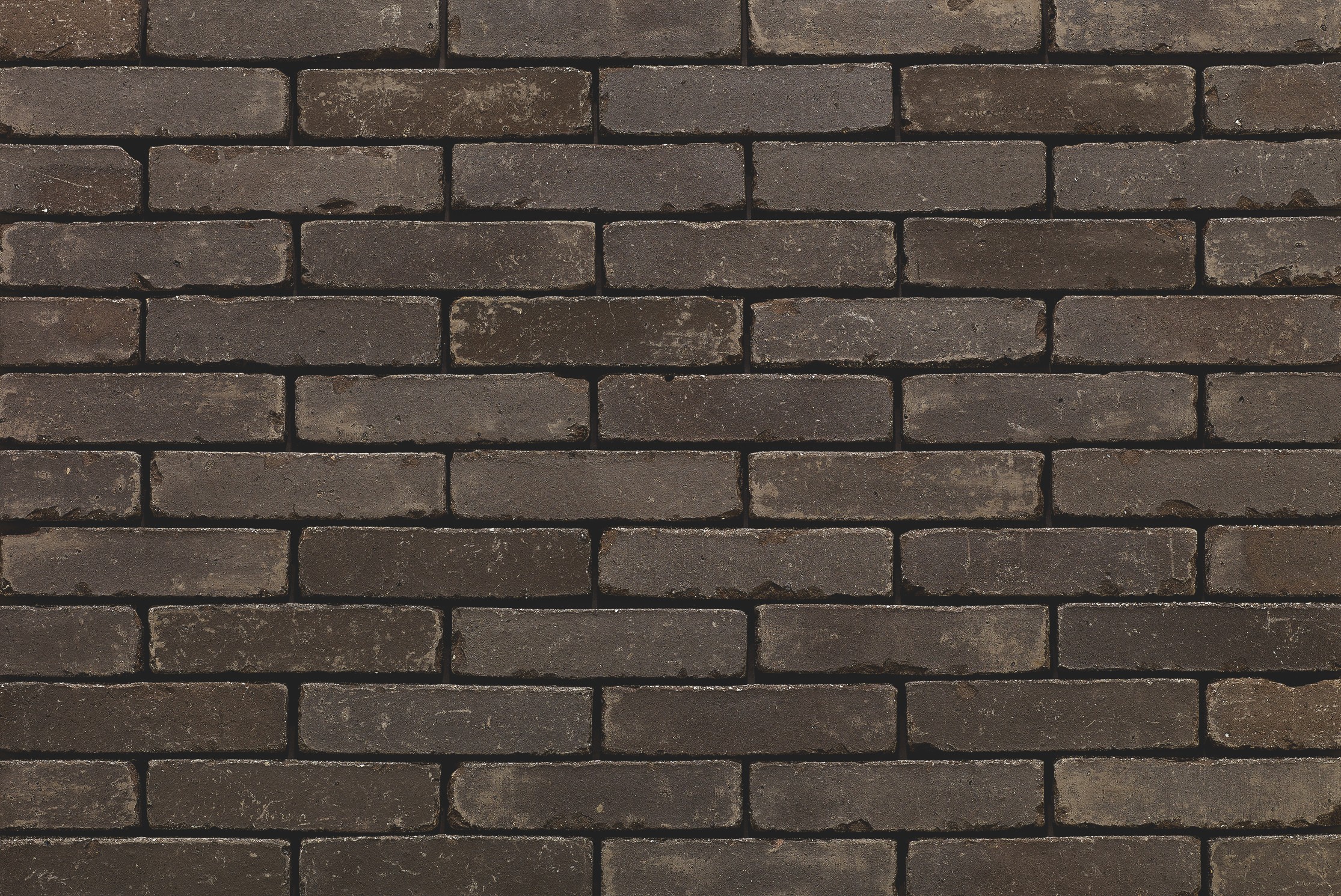 Authentica Retro Aleana