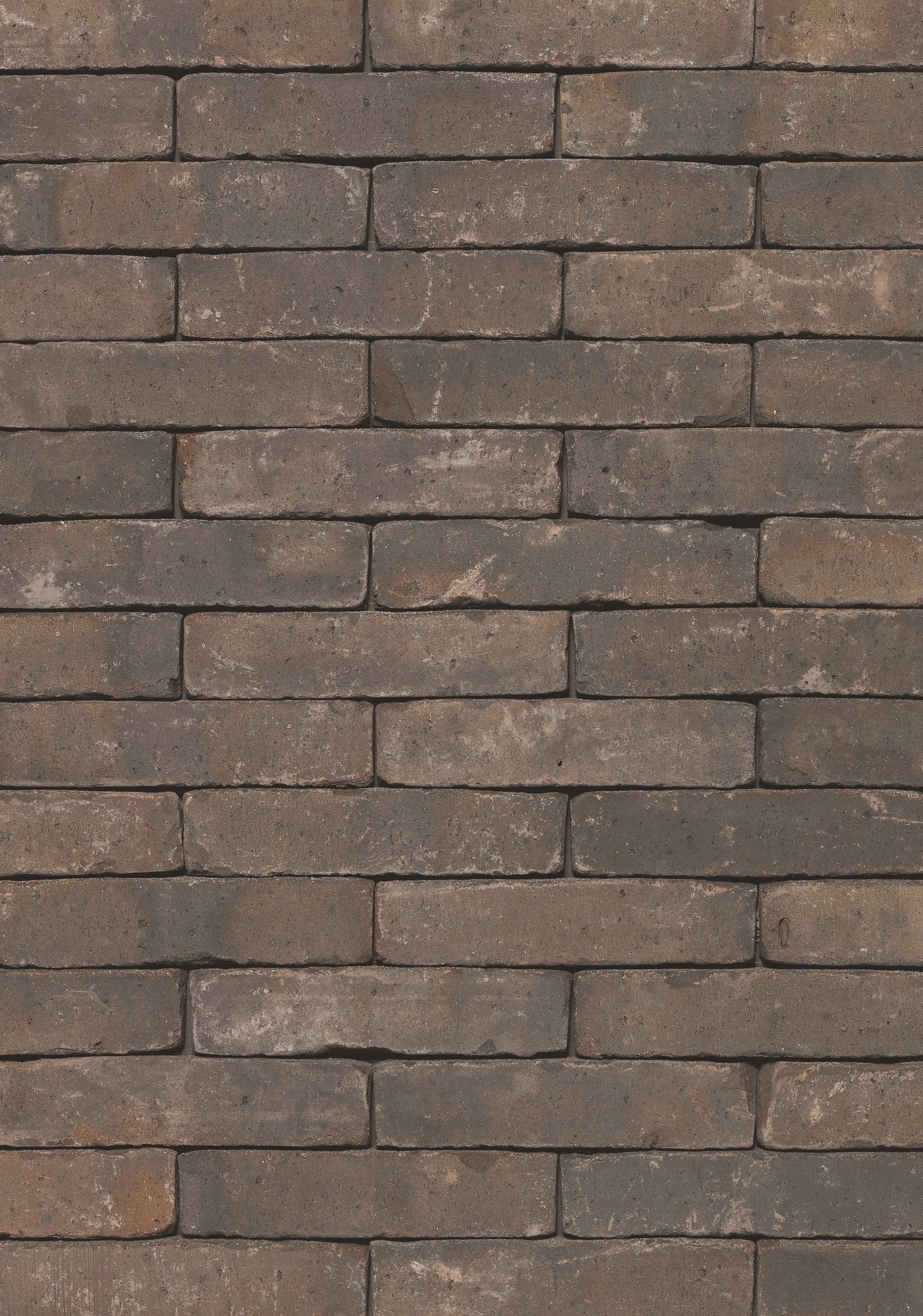 Authentica Retro Incana