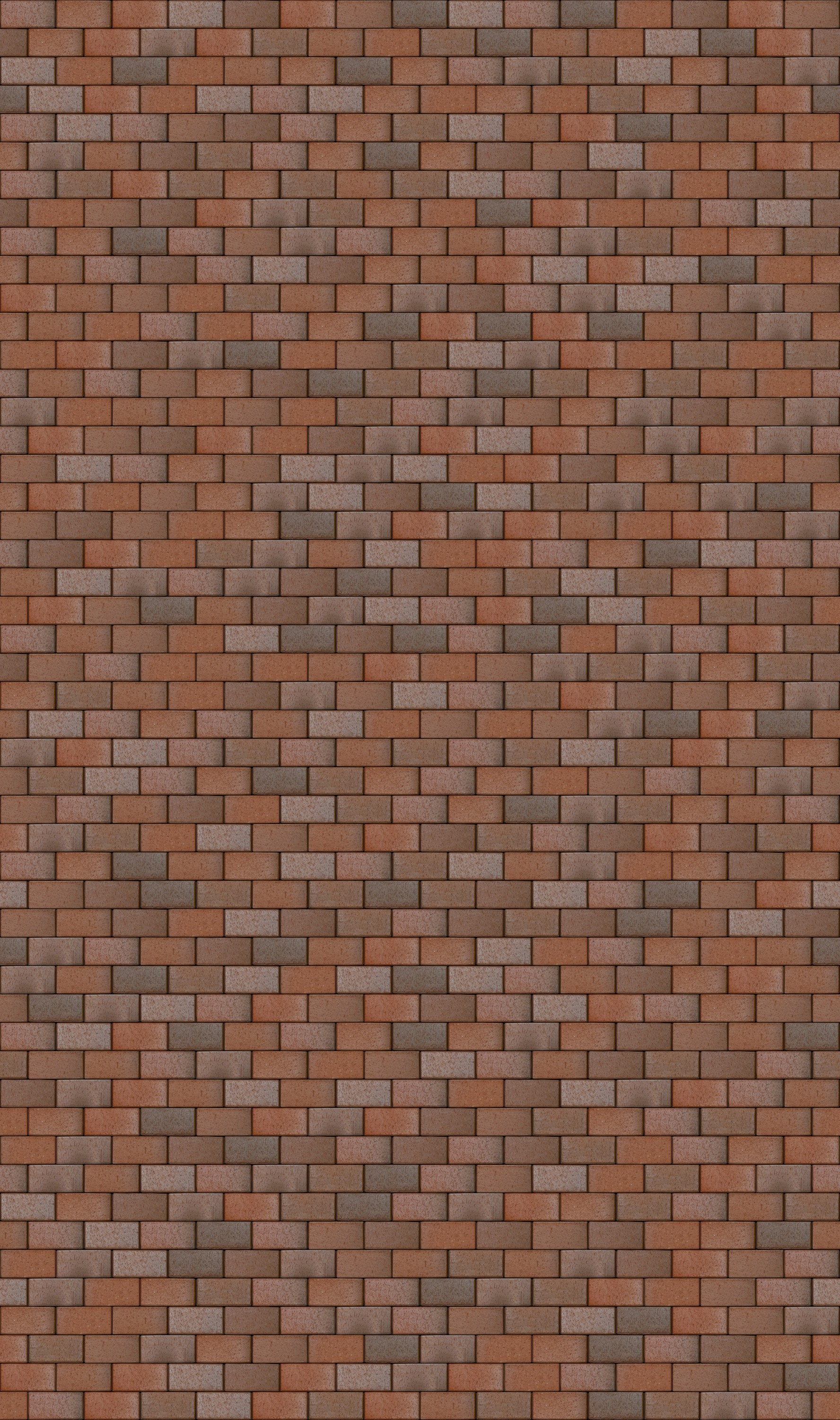 Penter Rotblaubunt