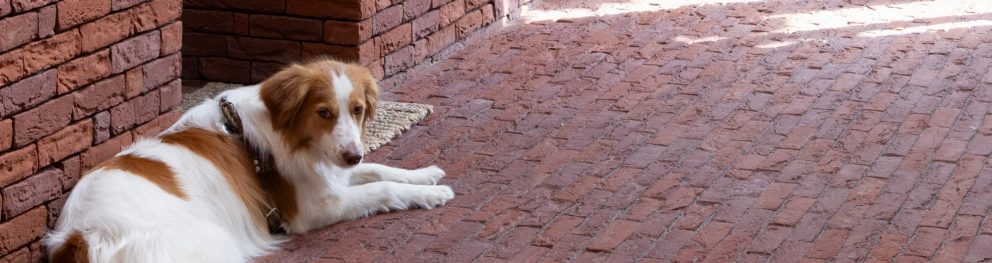 Rode baksteen in interieur van koetshuis