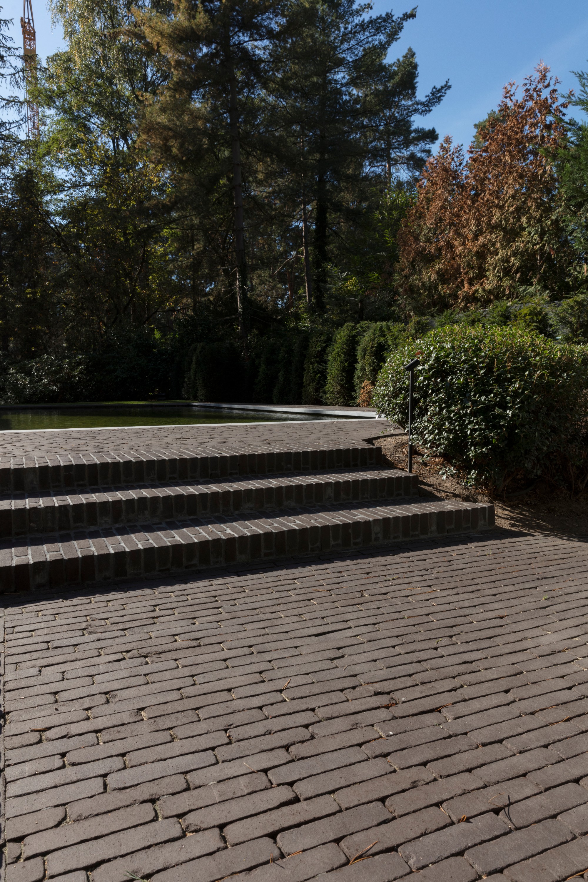 Authentica Retro Dakota