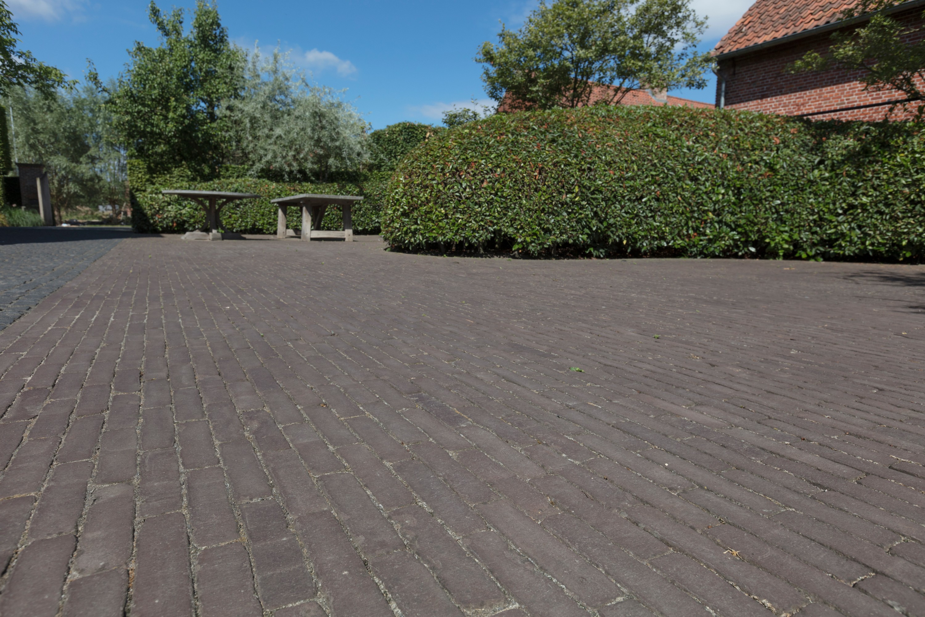 Authentica Retro Incana