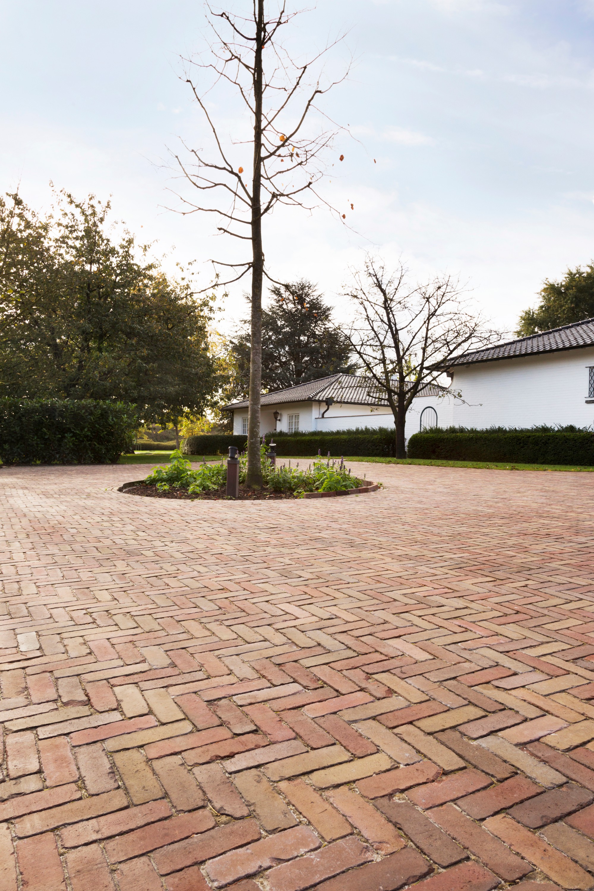 Authentica Retro Varia