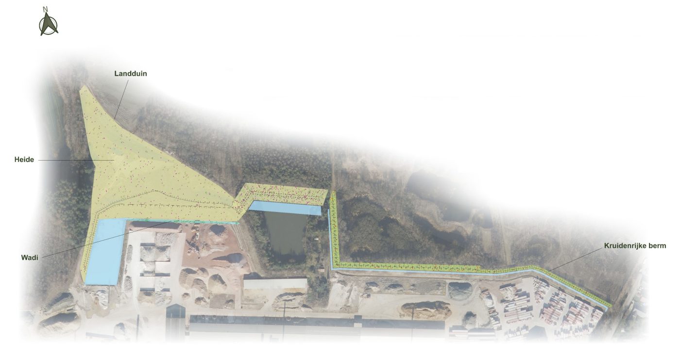 Wienerberger realiseert 2e landduin in Beerse Absheide