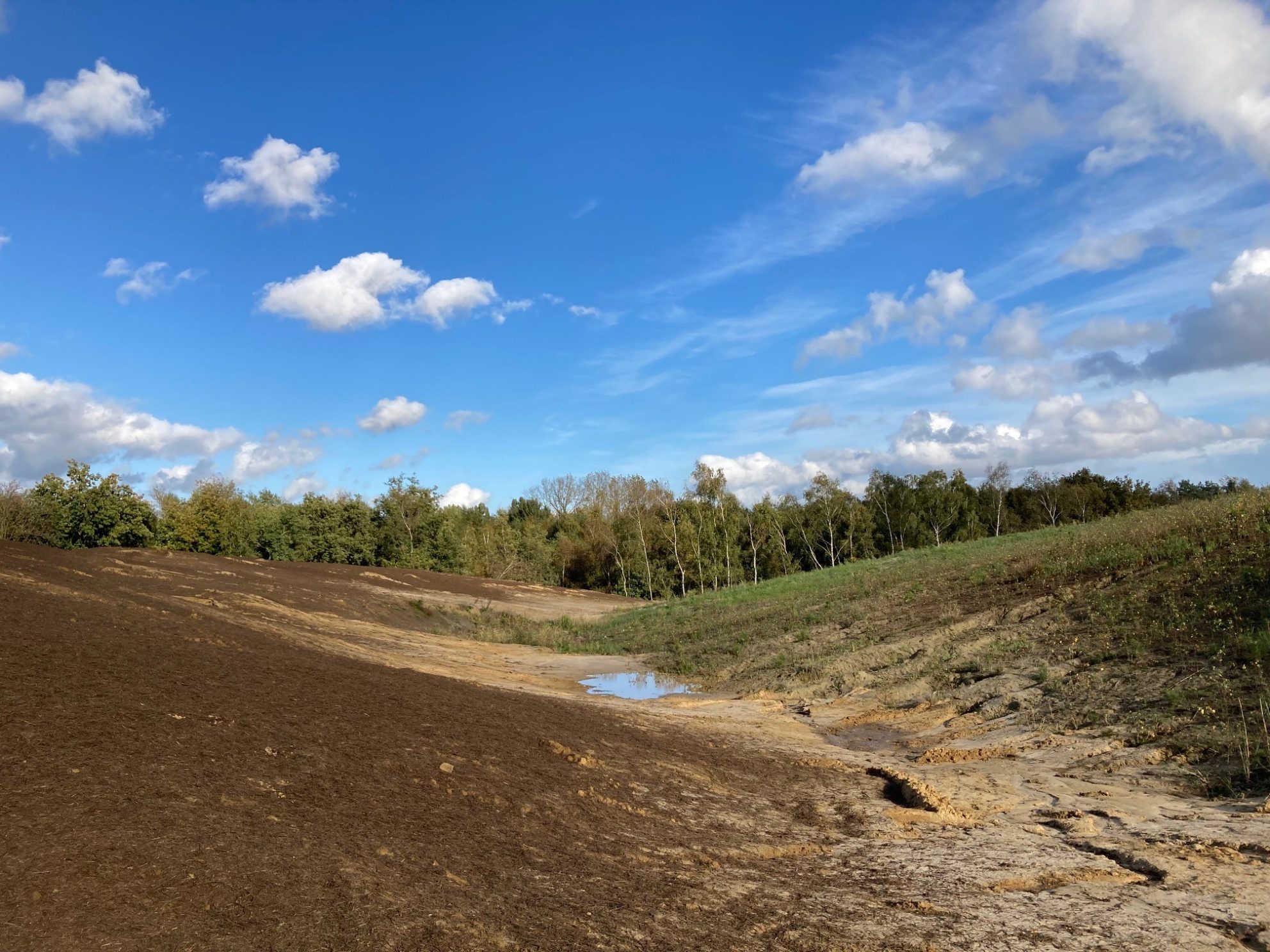 Wienerberger realiseert 2e landduin in Beerse Absheide