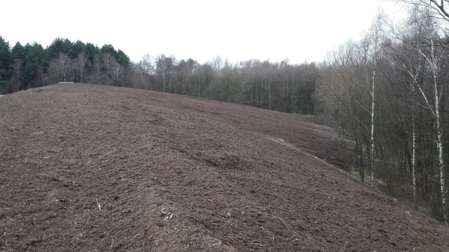 Voici comment Wienerberger Beerse contribue à une plus grande biodiversité.