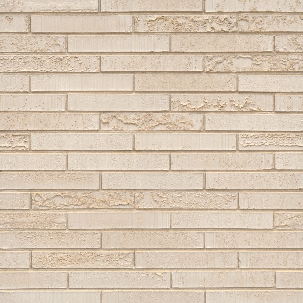 Wit genuanceerde Terca keramische gevelsteen - Elignia Nordica Wit