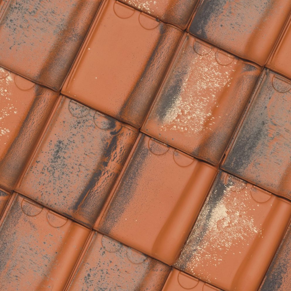 Tuile usée légèrement ondulée signée Koramic - tuile en terre cuite ...